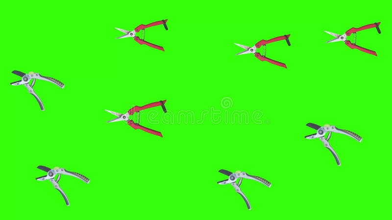 Animation of Scissors, Gardening Tools, Chroma Key Stock Footage ...