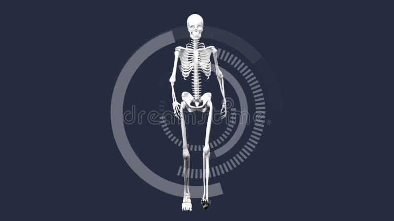 Animation of Scope Scanning with Human Skeleton on Grey Background ...