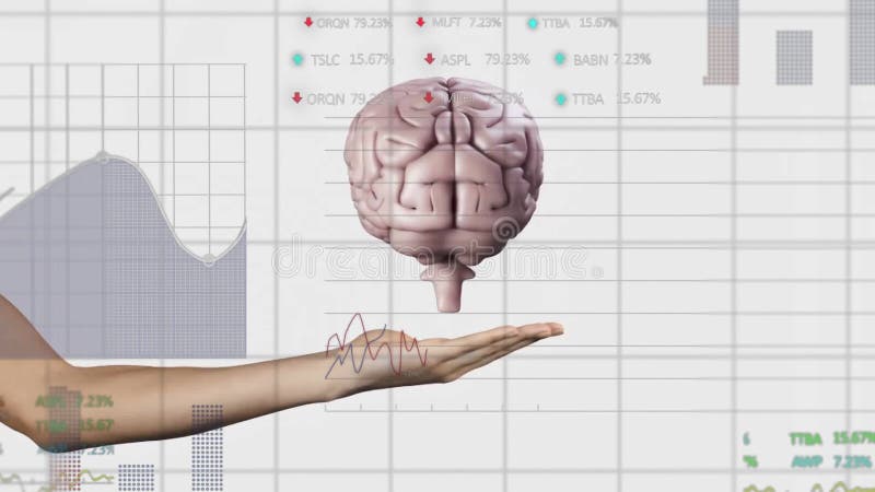 Animation of Spinning Brain with Hand Over Data Processing on White ...