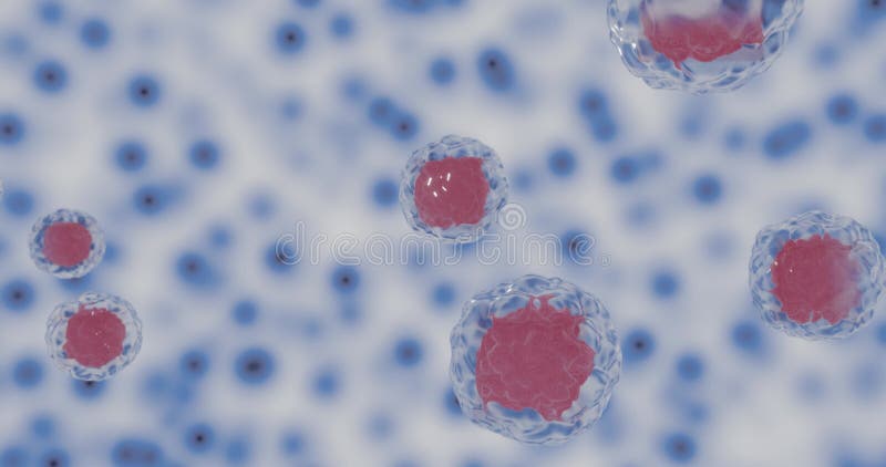 Animation of stem cells stock video. Video of healthcare - 253214267