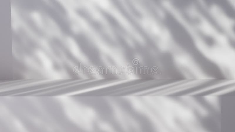 Animation of Sunny Time Animation with Trees Behind Window Shadow on ...