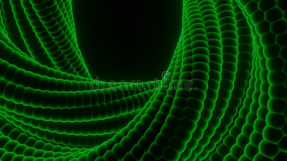 Swirling Snake Stock Illustrations – 420 Swirling Snake Stock ...