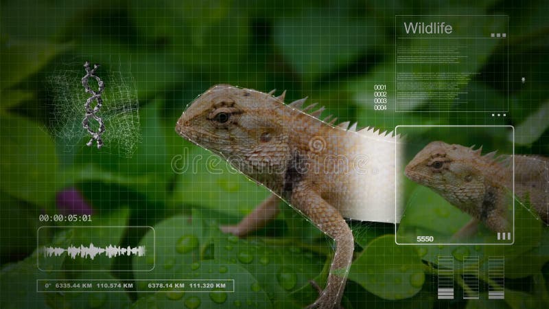 Animation Tree Lizard with Computer Analysis Interface Technology in ...