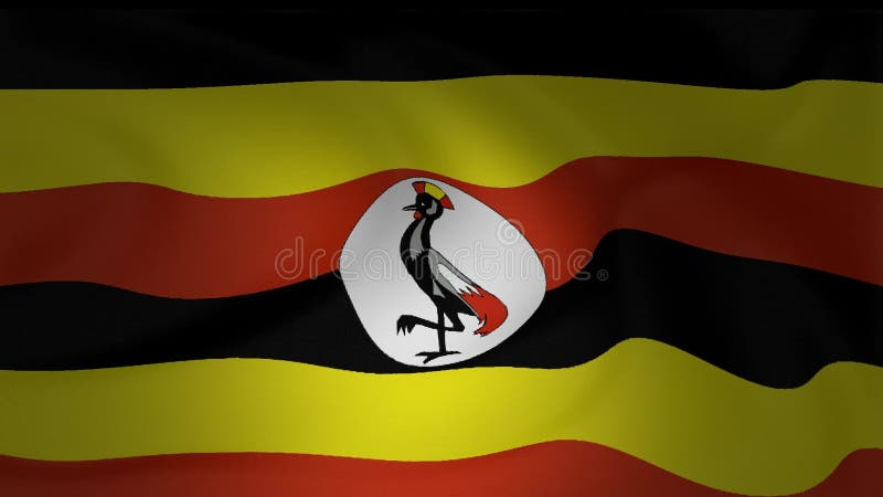 Animation of an Uganda Flag Closeup Stock Video - Video of gathers ...