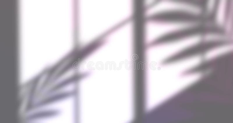 Animation of Window Shadow of Leaves Over White Background Stock Video ...