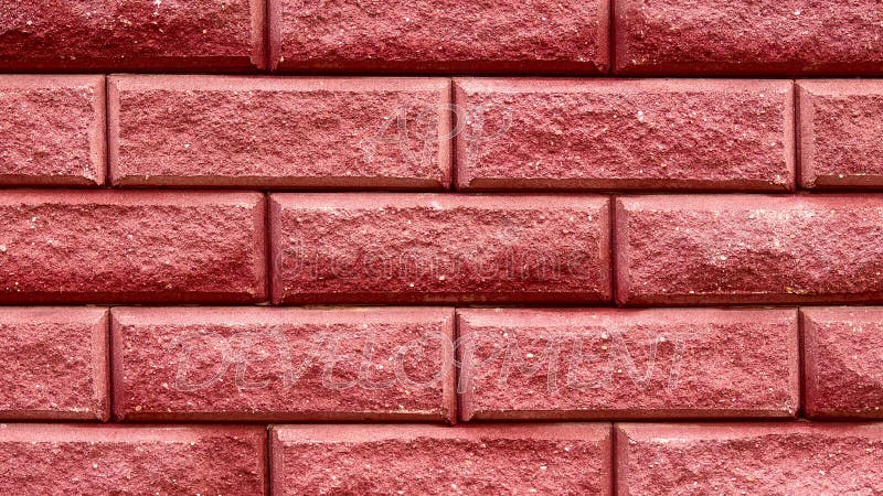 Animation of Words APP DEVELOPMENT. this Segment Showcases the ...