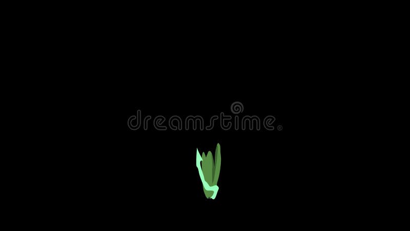 Anime Elements and Transitions Motion Graphics Pack Stock Video - Video ...