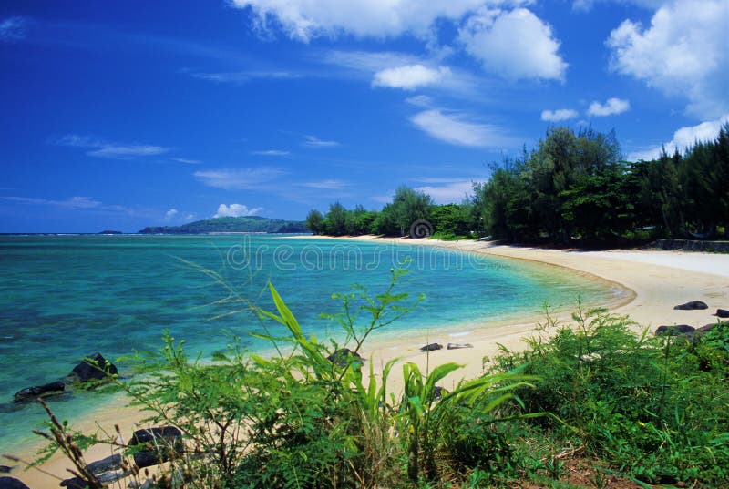 Anini Beach stock photo. Image of island, golden, dreamy - 13082346