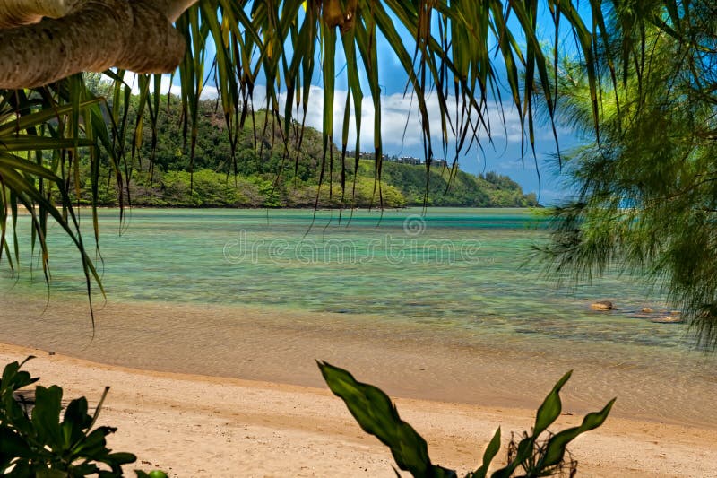 Anini Beach - Kauai Hawaii stock photo. Image of paradise - 11562058
