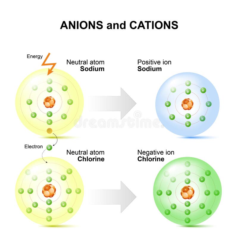 Anionen En De Atomen Van De Van Het Kationen Bijvoorbeeld Natrium En