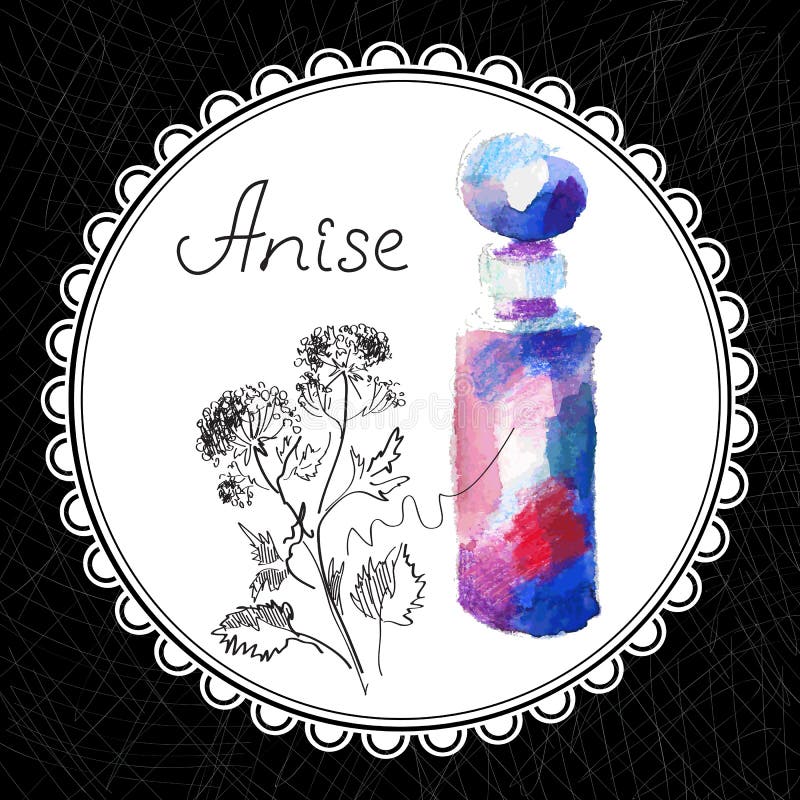 Anis illustration de vecteur. Illustration du médecine - 52387404