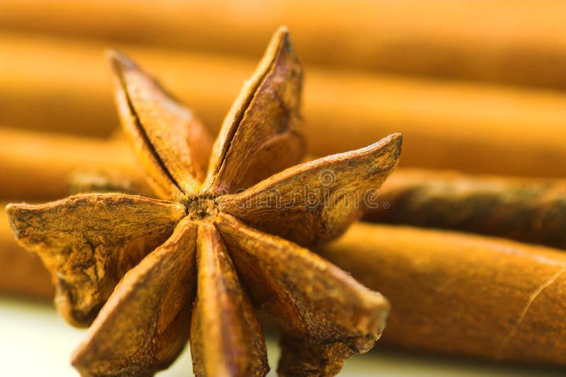 Anis stock image. Image of tasty, baking, spice, spicy - 978159