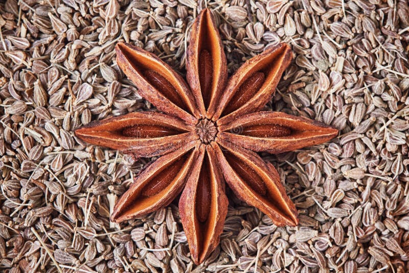 Macro D'anisum D'Anise Pimpinella Photo stock - Image du graines ...