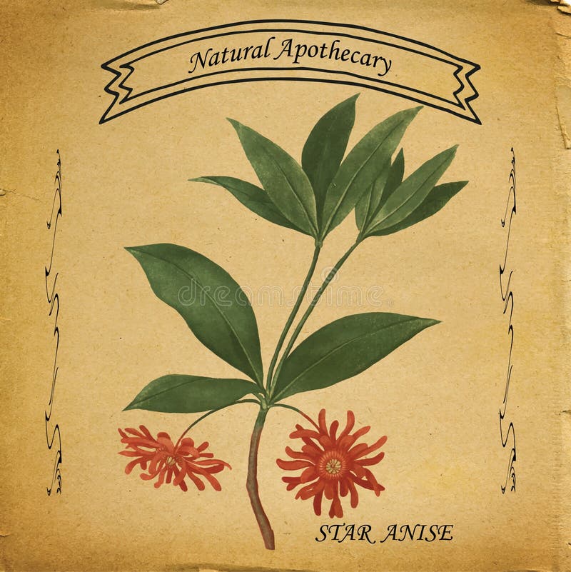 Apothicaire Stock Illustrations, Vecteurs, & Clipart – (8,233 Stock ...