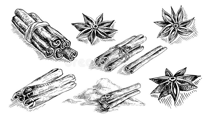 Anis do café da canela ilustração do vetor. Ilustração de sabor - 84833694