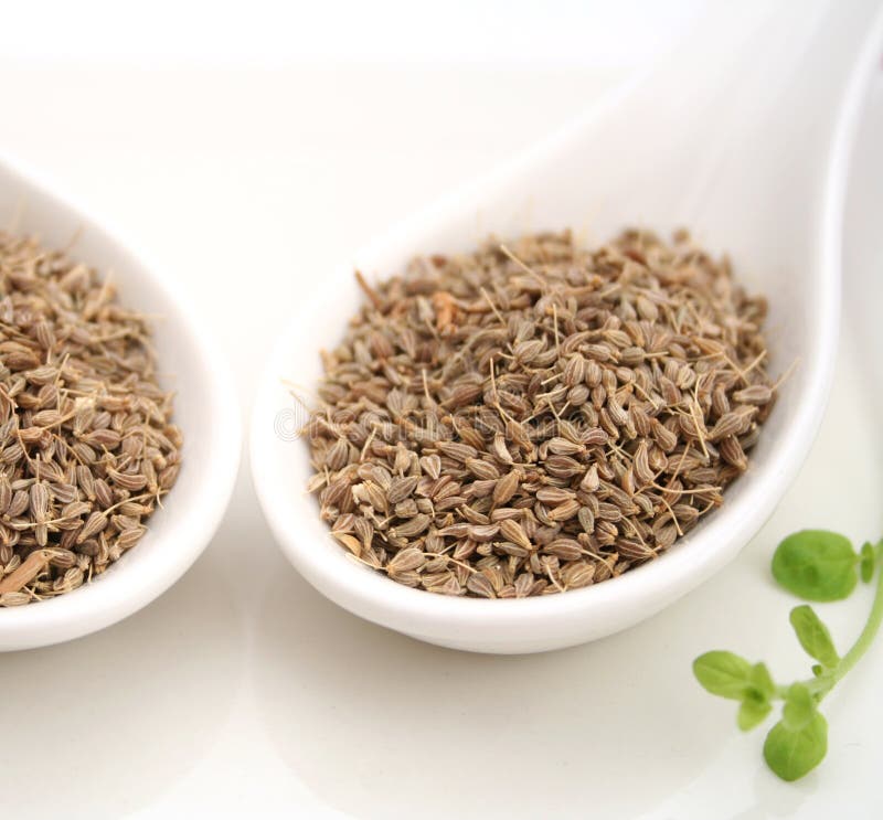 Anis seeds stock image. Image of seed, anis, gourmet - 37193273