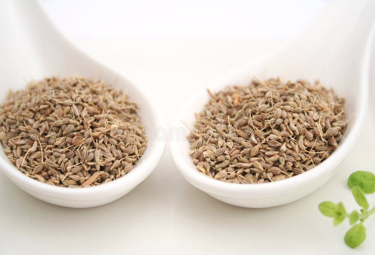 Anis seeds stock photo. Image of anisseeds, food, spice - 37193008