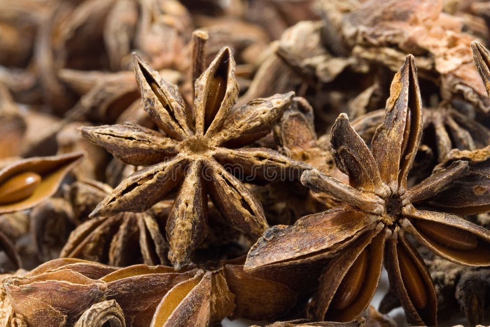 Anise stock photo. Image of anise, colored, advent, odor - 8480444