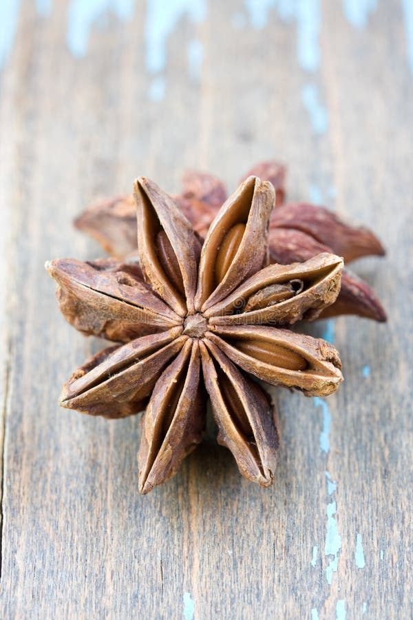 Anise aniseed spice stock image. Image of aniseed, season - 8526823