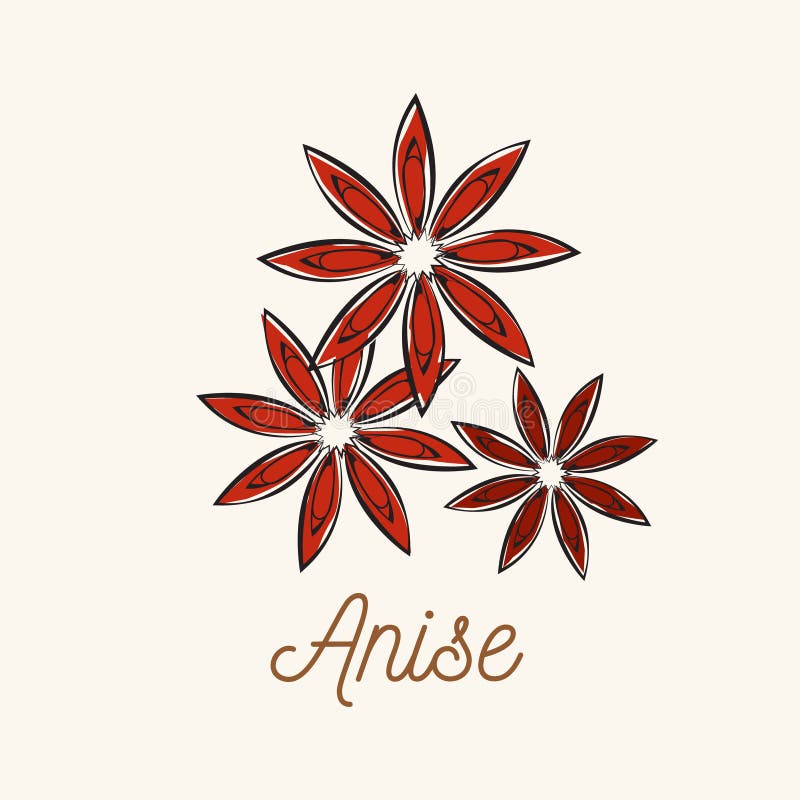 Anise Ingredients Object Design Vector Hand Drawn Objects Stock Vector ...