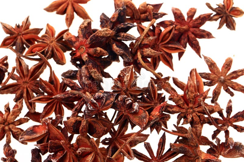 Octagon stock photo. Image of spices, color, octagon - 216290098