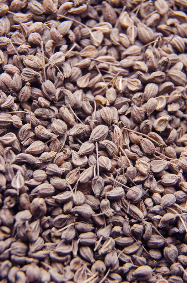 Anise seeds stock image. Image of health, healthy, small - 29184131