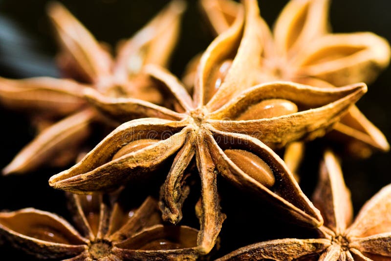 Anise stars stock image. Image of flavorings, anise, indian - 908155