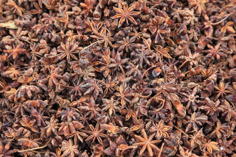 Aniseed stock photo. Image of clove, cashew, christmas - 13464822