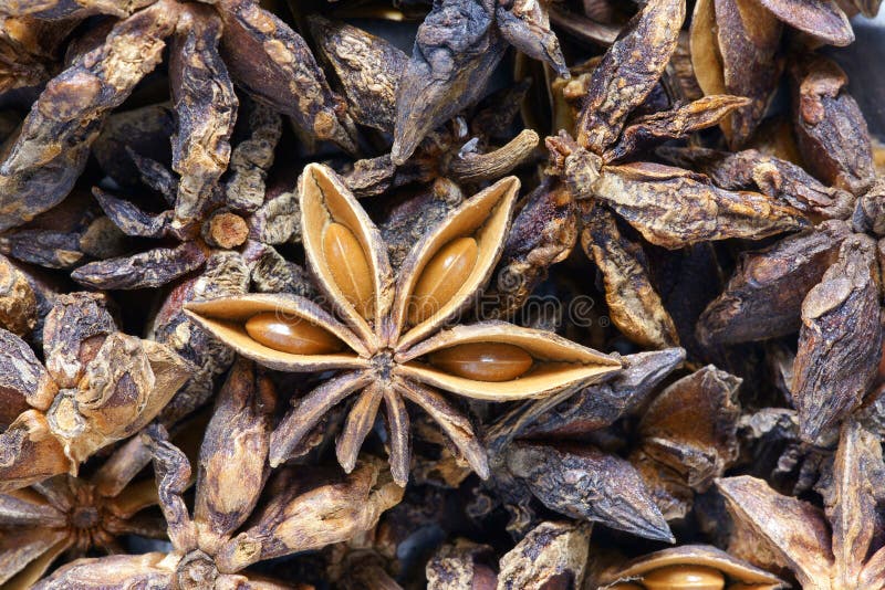 Aniseed stock photo. Image of cook, macro, aromatic, cinnamon - 18433784