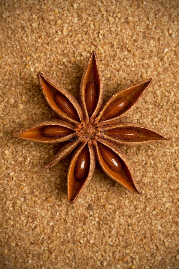 Aniseed stock image. Image of oriental, empty, background - 26862535