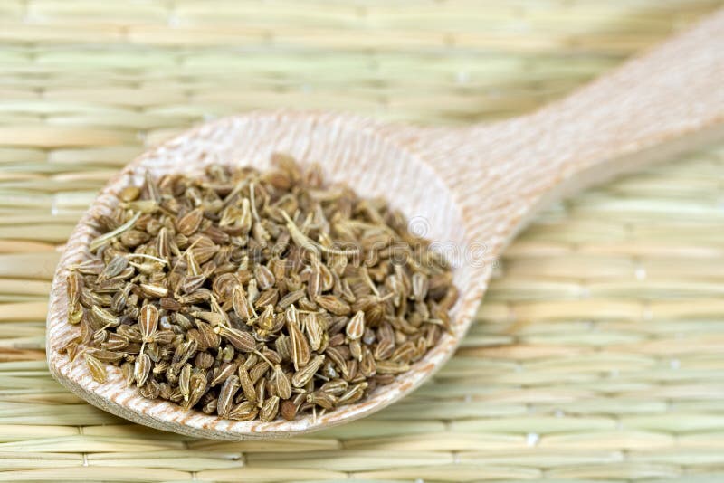 Aniseed stock image. Image of anise, brown, wooden, herbage - 8477215