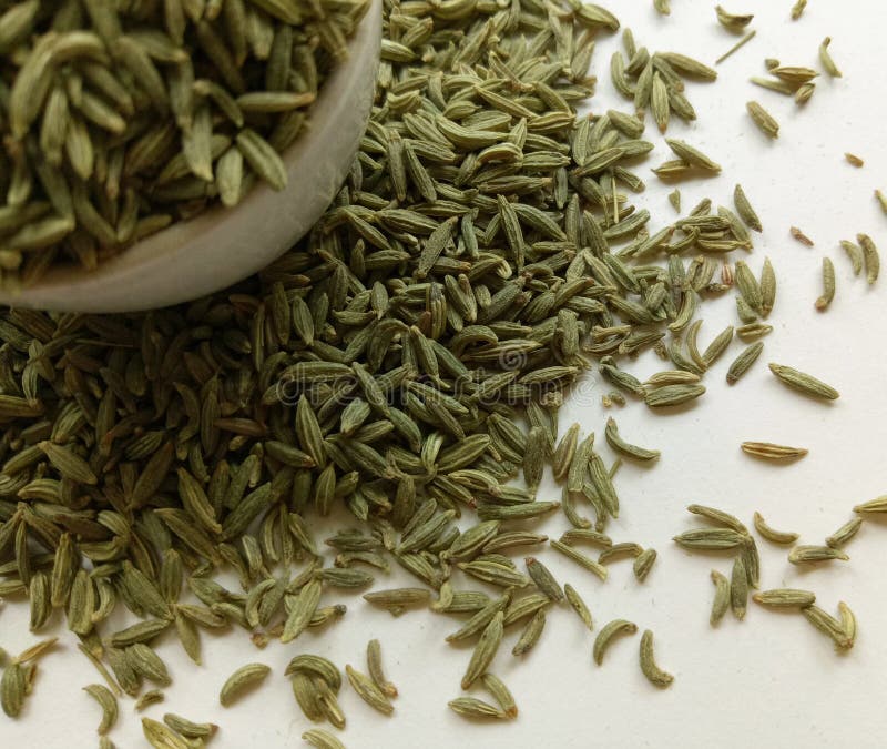 Aniseed stock image. Image of ingredients, badishop, indian - 99607911