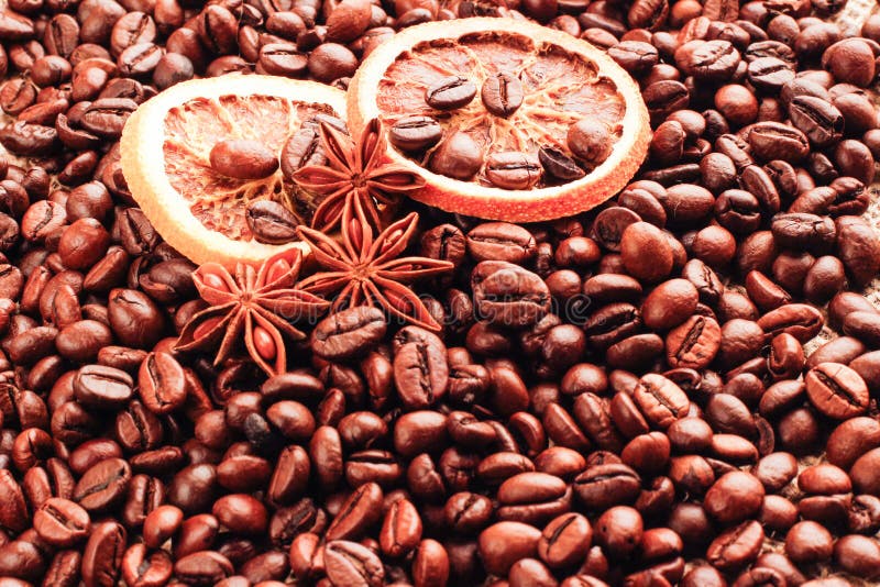 Aniseed and Dried Orange on Scattered Coffee Beans Stock Photo - Image ...
