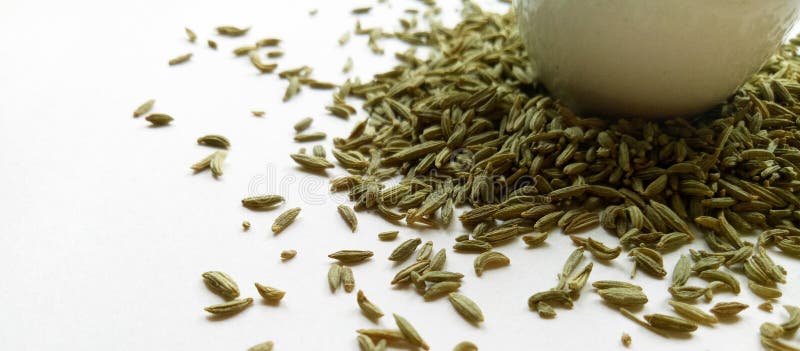 Aniseed stock image. Image of heap, mints, anisum, aniseeds - 99607901