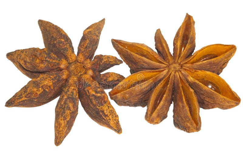 Aniseeds detail stock image. Image of aniseed, cook, delicious - 13197123