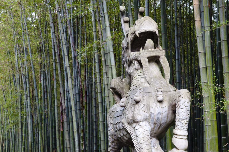 Anji Bamboo Forest - Hangzhou - China Editorial Stock Image - Image of ...