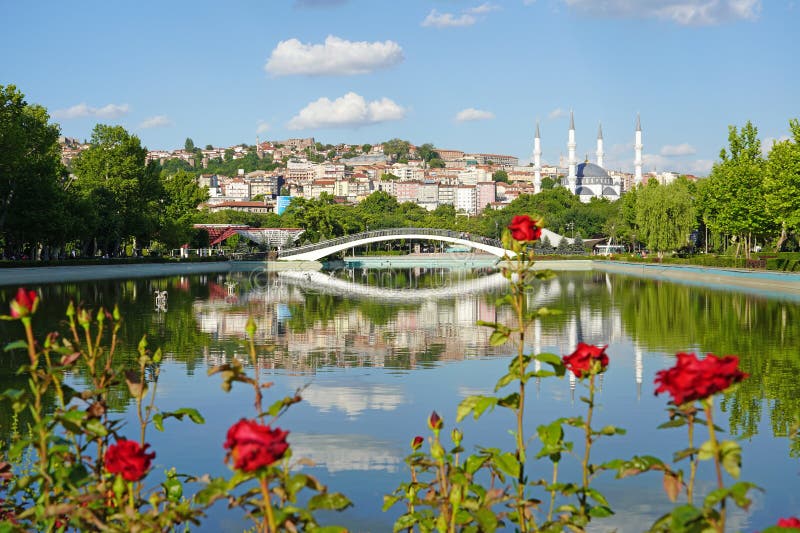 Ankara Genclik Park in Ulus Stock Image - Image of tree, plant: 363311159