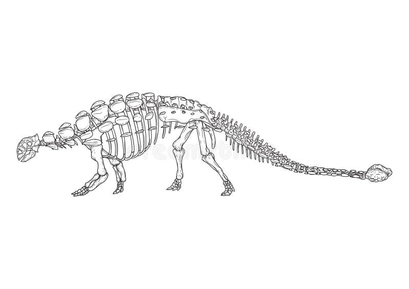 Ankylosaurus. Vector Illustration Decorative Design Stock Vector ...