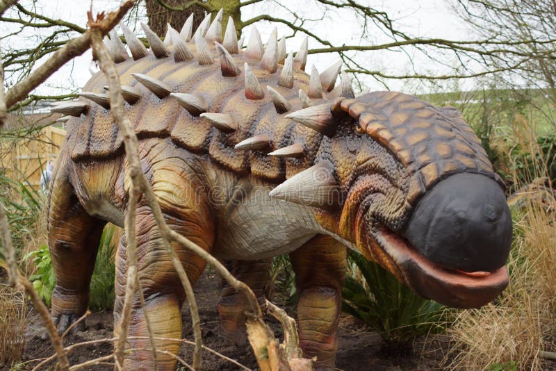 779 Ankylosaurus Stock Photos - Free & Royalty-Free Stock Photos from ...