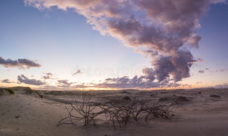 Anna Bay - Puerto Stephens Australia Foto de archivo - Imagen de canoa ...