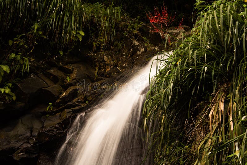 Annandale Waterfall, Grenada Stock Photo - Image of annandale ...