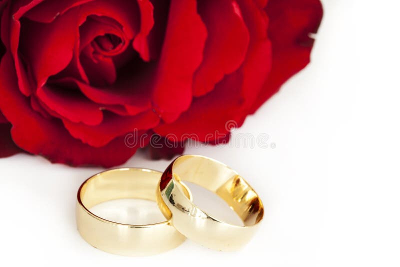 Anneaux De Mariage Avec La Rose De Rouge Photo stock - Image du bonheur ...