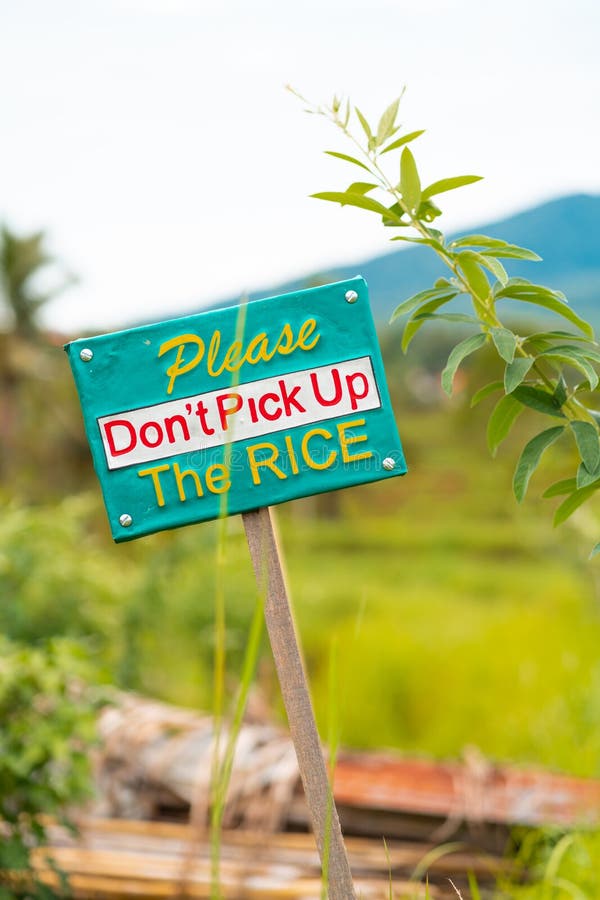 The Announcing Sign with the Inscription Around the Rice Fields. the ...