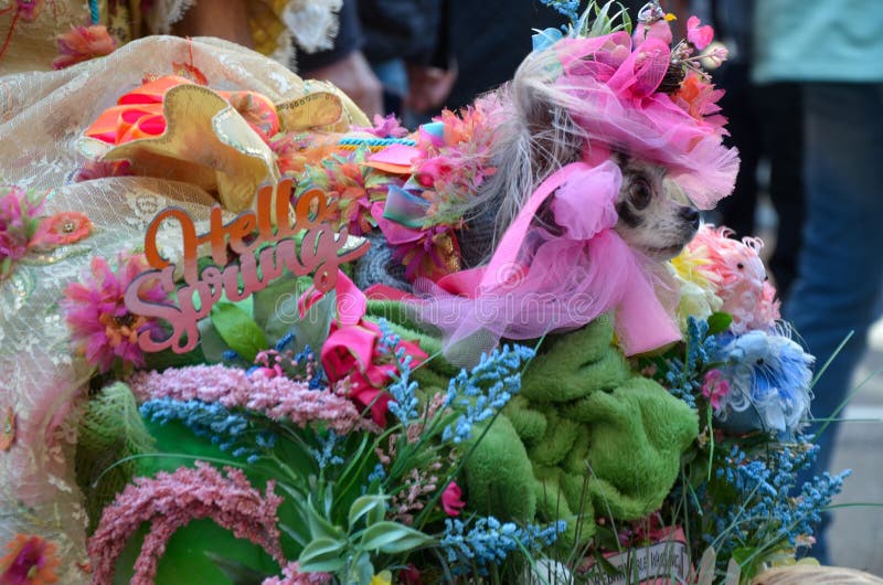 Annual Easter Parade in New York City Editorial Stock Photo - Image of ...