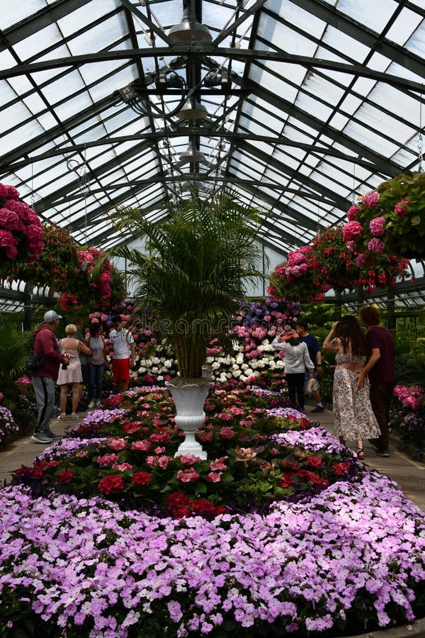 Annual Hydrangea Display at Floral Showhouse in Niagara Falls, Ontario ...