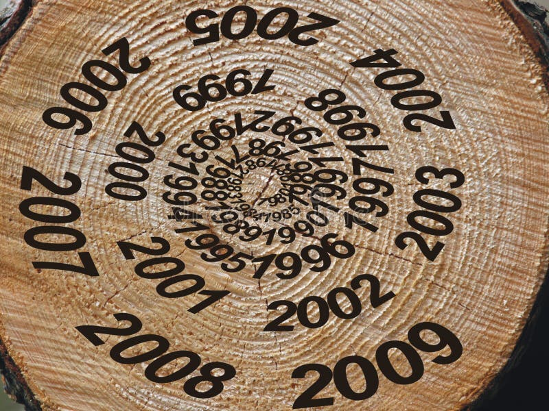 Annual rings stock photo. Image of adolescence, bark, nature - 8666882