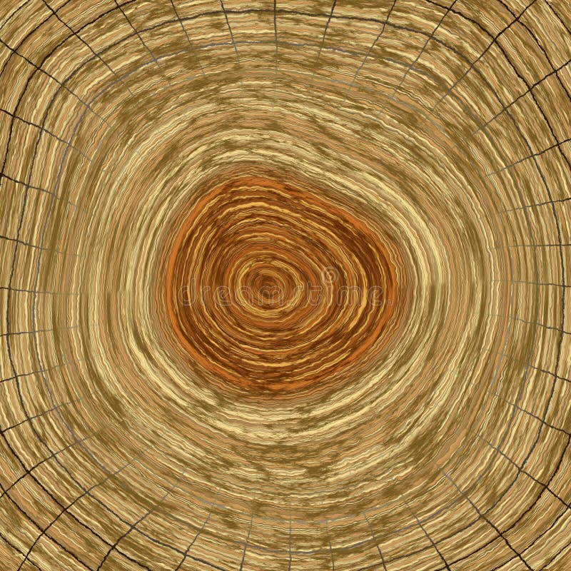 Annual rings in cut tree stock illustration. Illustration of circular ...
