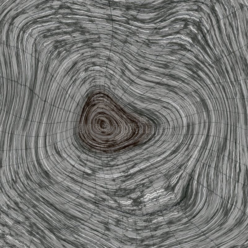 Annual rings in cut tree stock illustration. Illustration of timber ...
