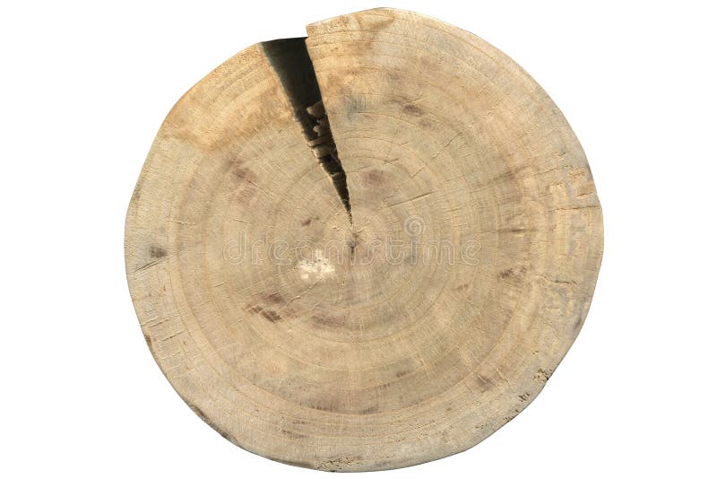 Annual Rings on a Saw Cut of a Tree Trunk. Saw Marks Stock Photo ...