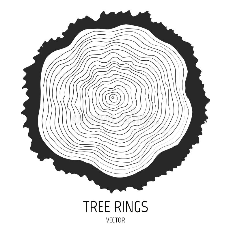 Annual Tree Growth Rings Logo, Cross-section of a Tree Trunk. Stock ...